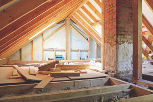 10 Steps On How To Rodent Proof Your Attic - Master Attic