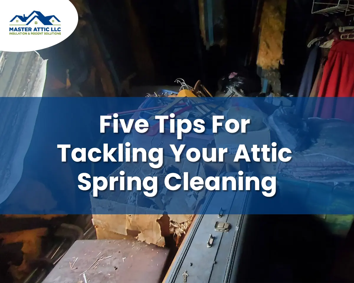 Five Tips For Tackling Your Attic Spring Cleaning