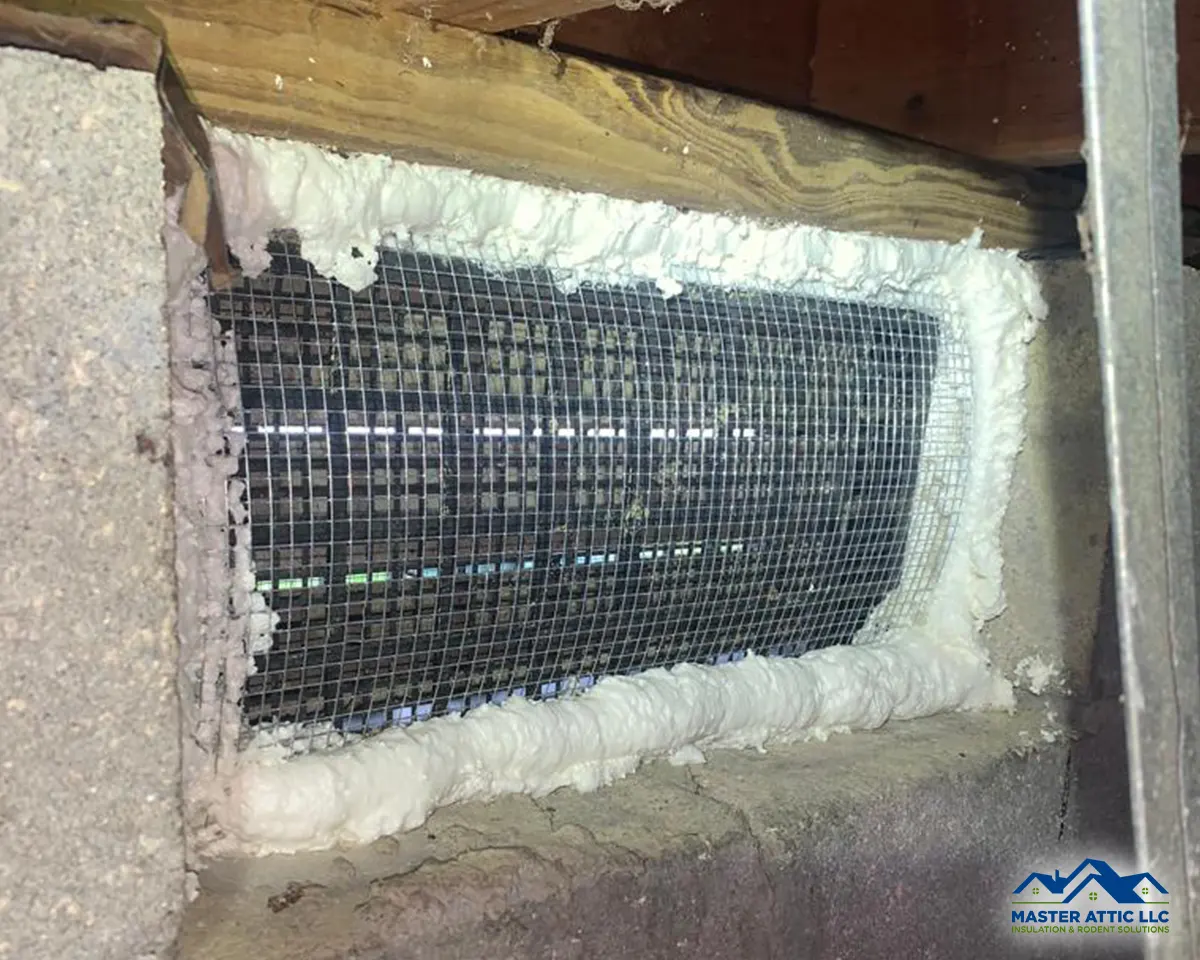 How to Remove Rodents in Your Pennsylvania Attic