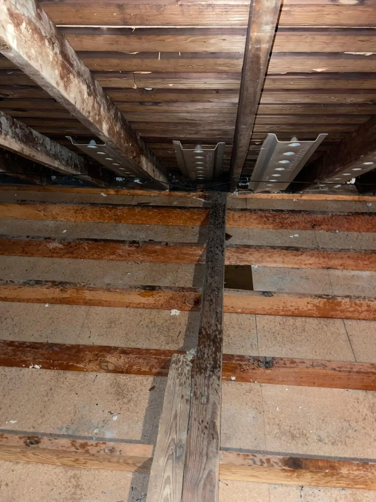Attic Cleanup and Insulation - Master Attic