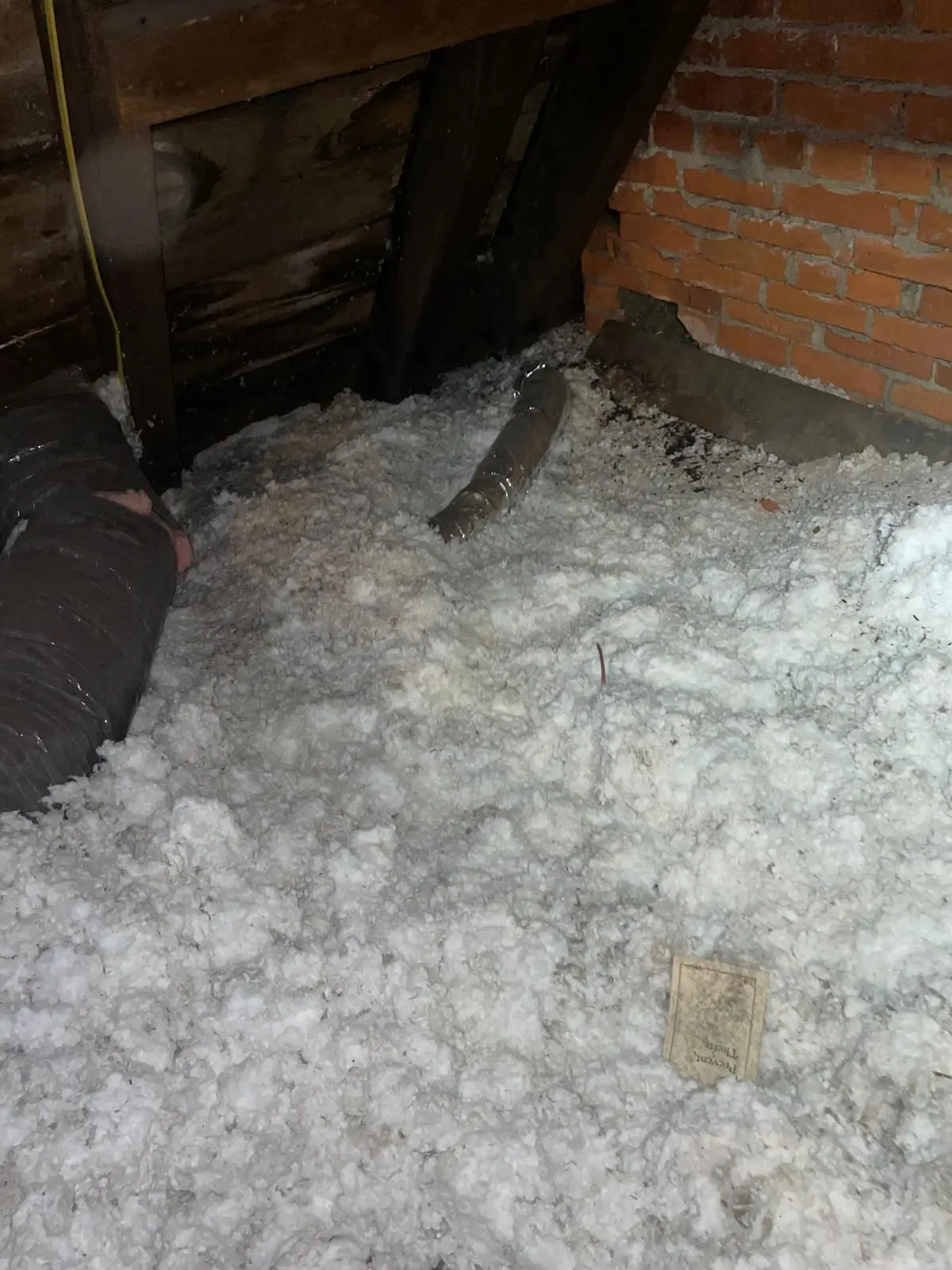 Full before and after rodent infestation - Master Attic