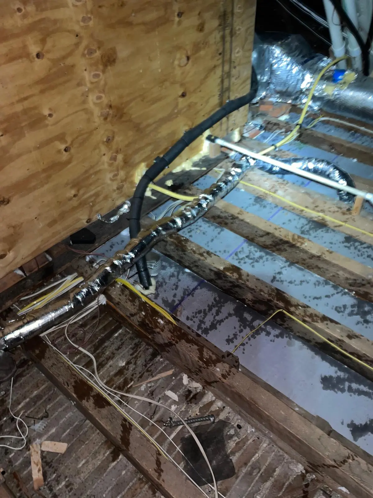 Full before and after rodent infestation - Master Attic