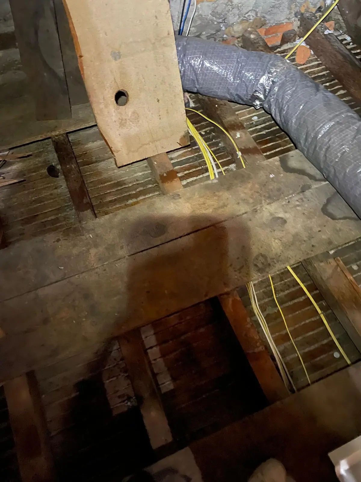 Full before and after rodent infestation - Master Attic