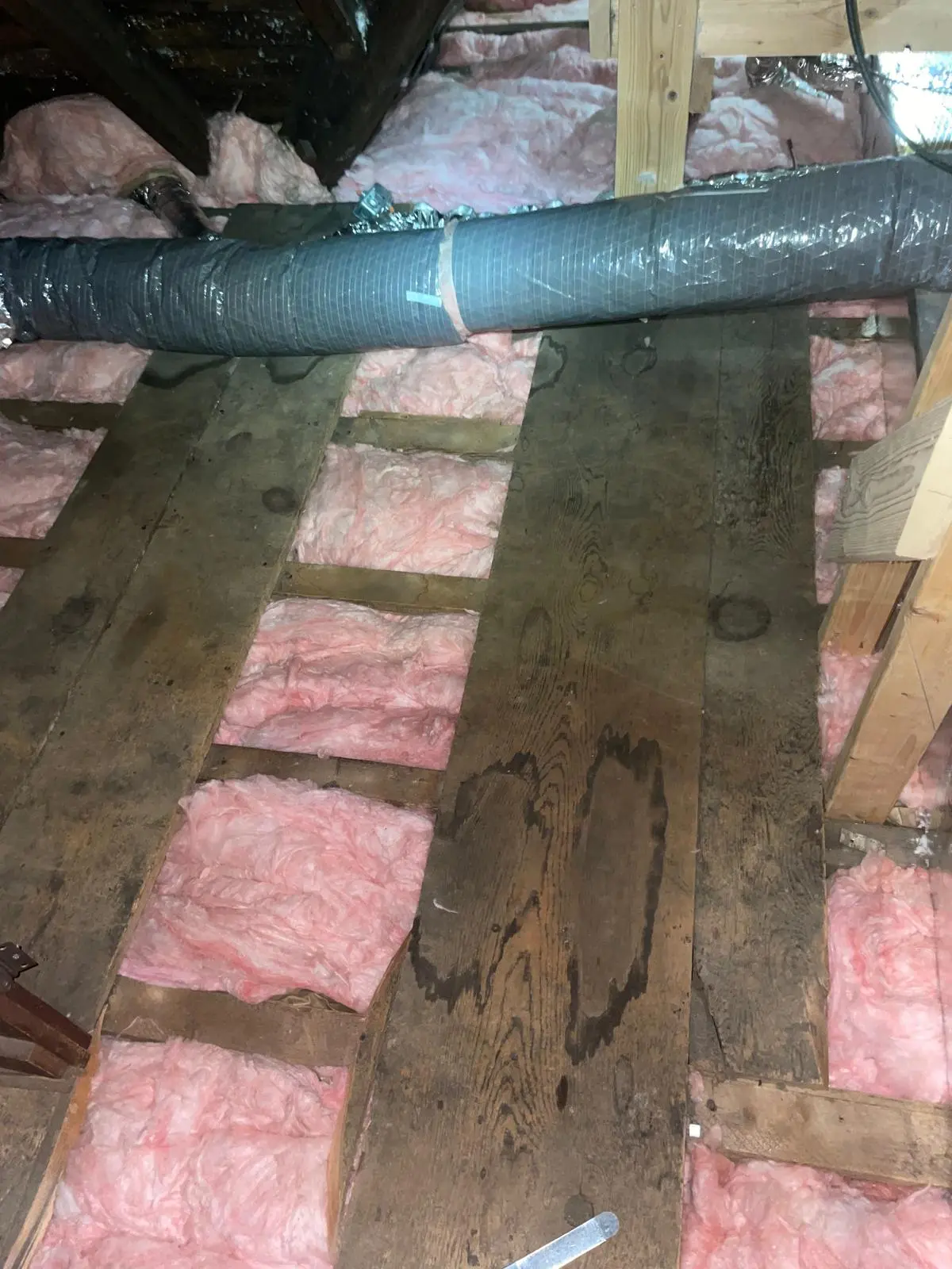 Full before and after rodent infestation - Master Attic