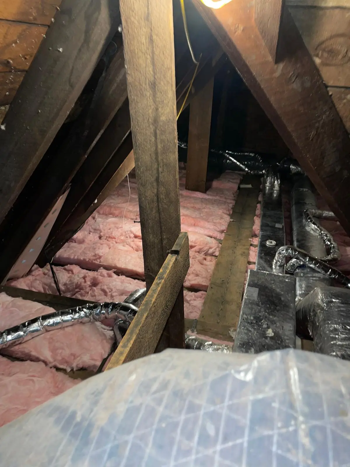 Full before and after rodent infestation - Master Attic