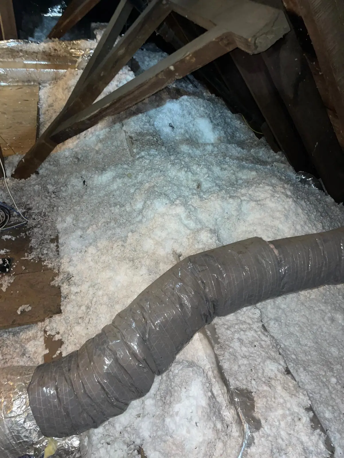 Full before and after rodent infestation - Master Attic