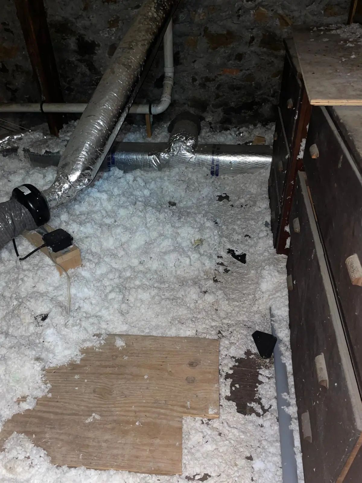 Full before and after rodent infestation - Master Attic