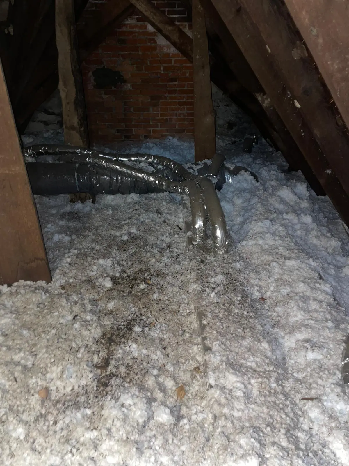 Full before and after rodent infestation - Master Attic