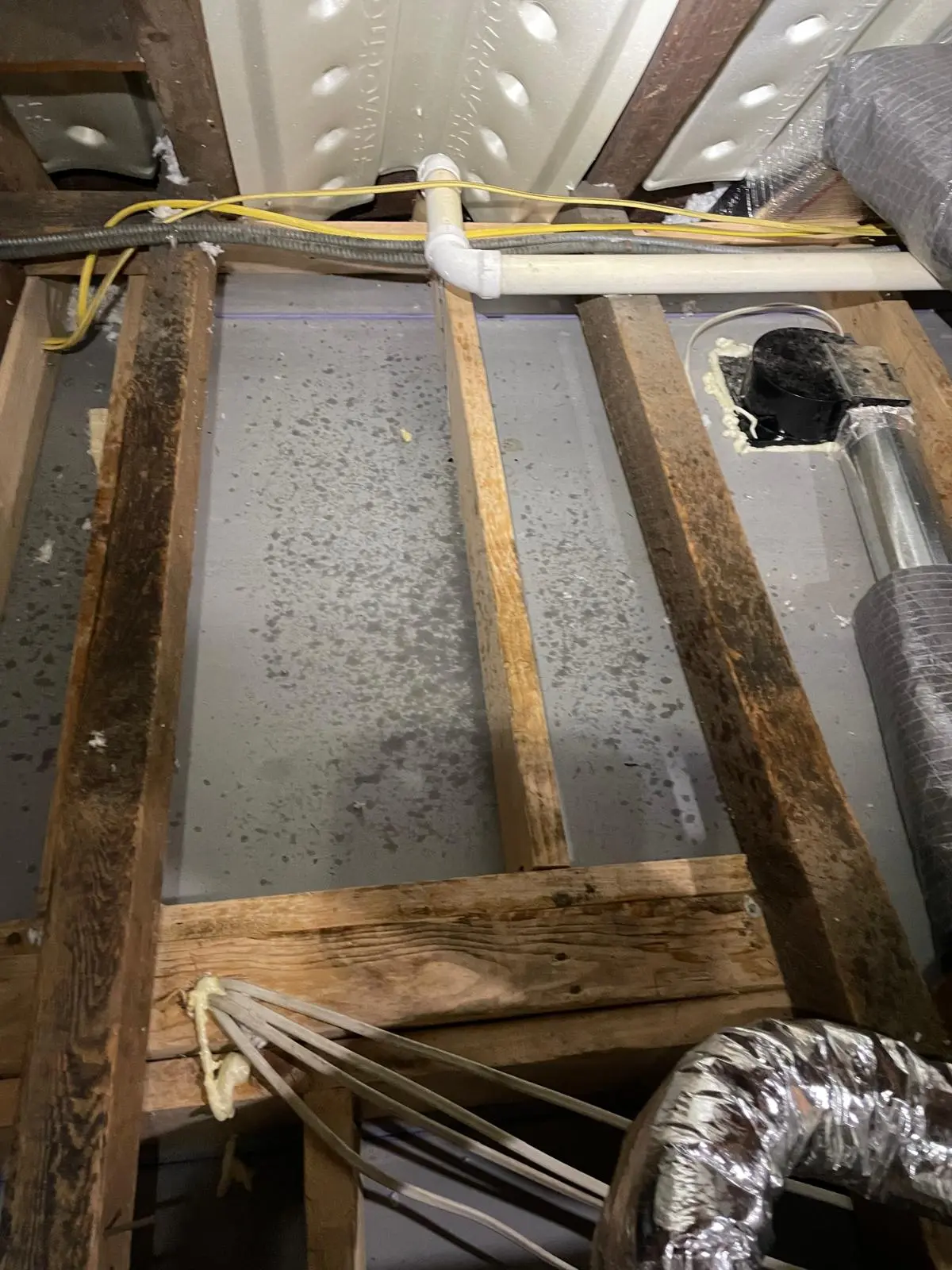 Full before and after rodent infestation - Master Attic