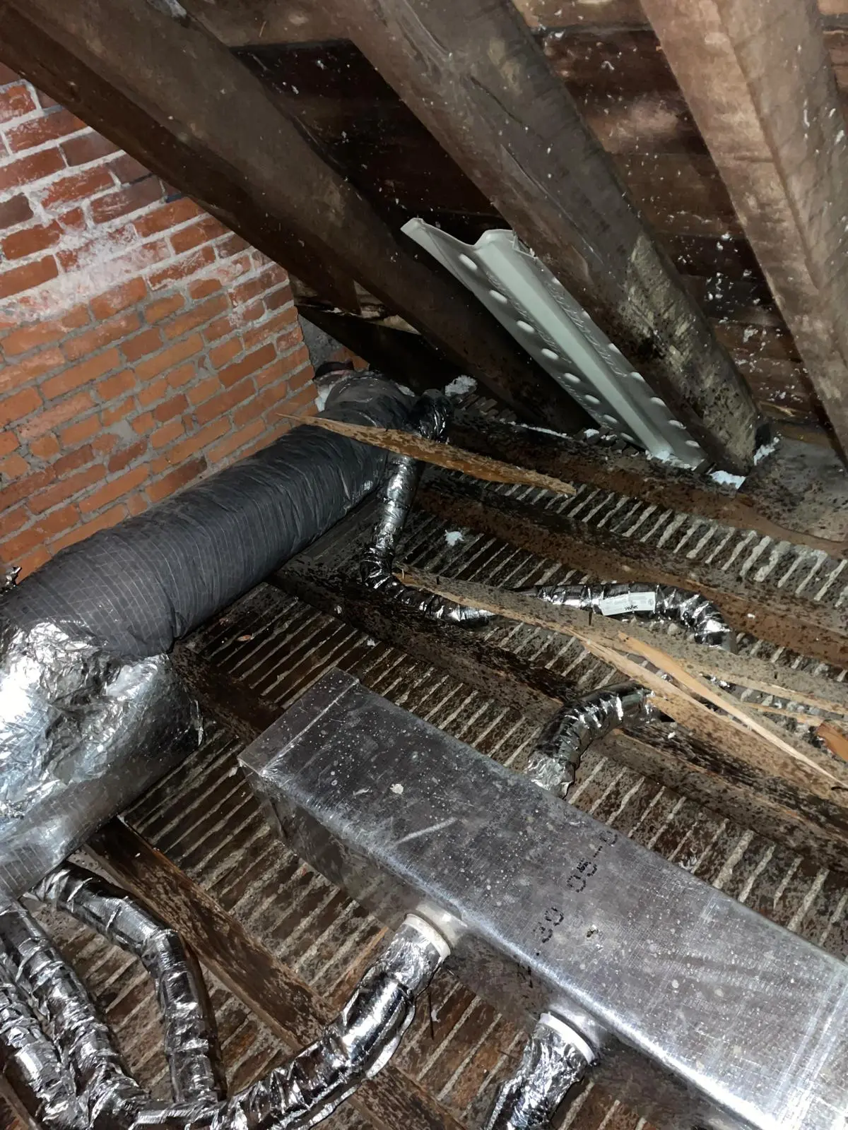 Full before and after rodent infestation - Master Attic