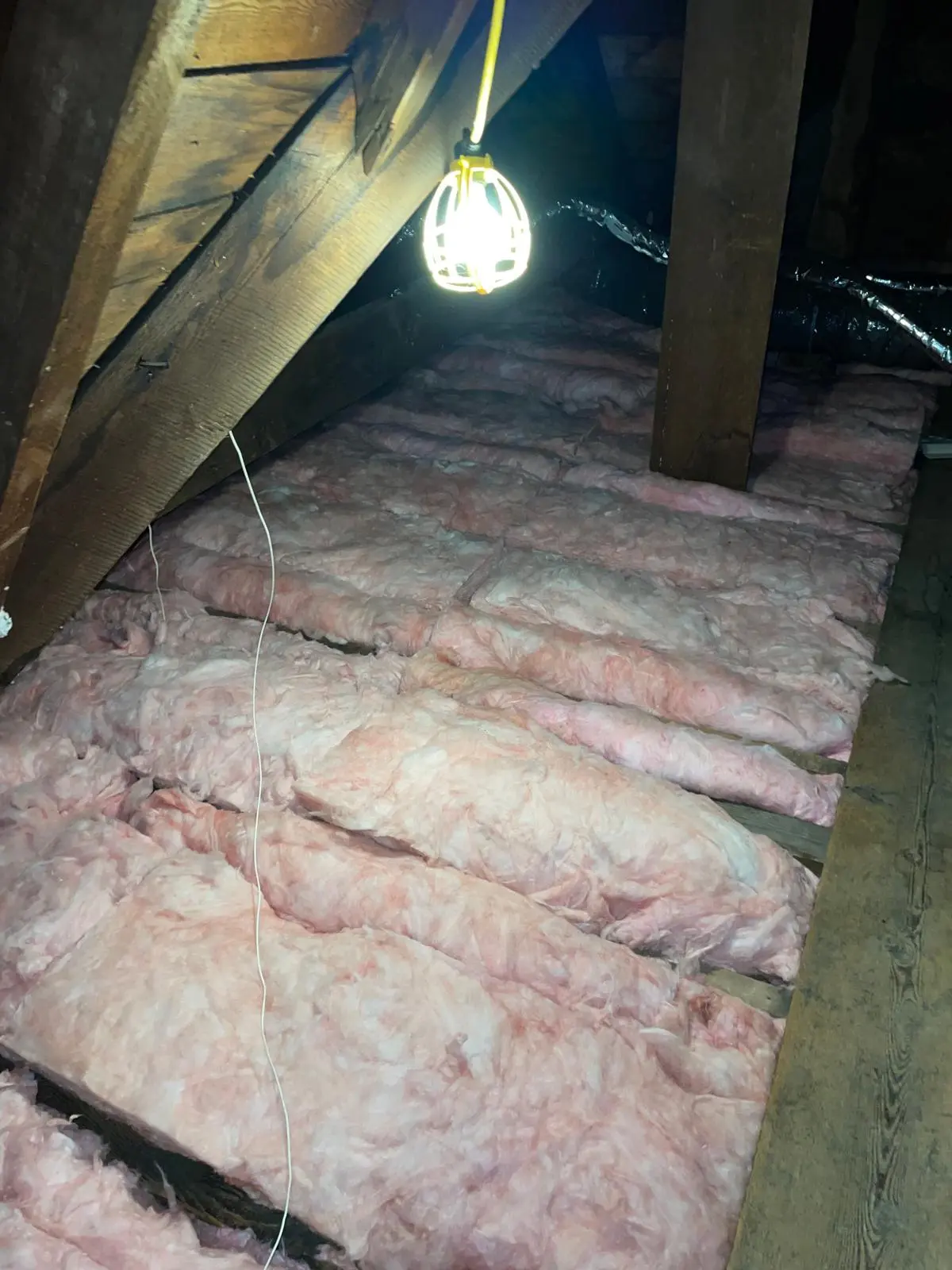 Full before and after rodent infestation - Master Attic