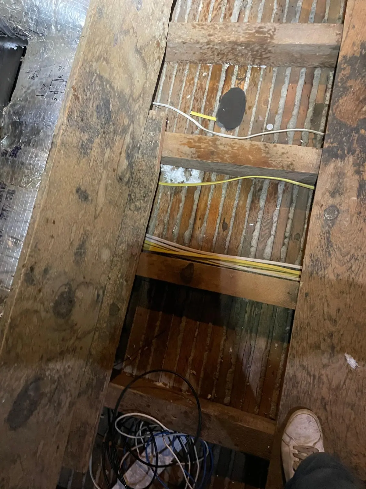 Full before and after rodent infestation - Master Attic