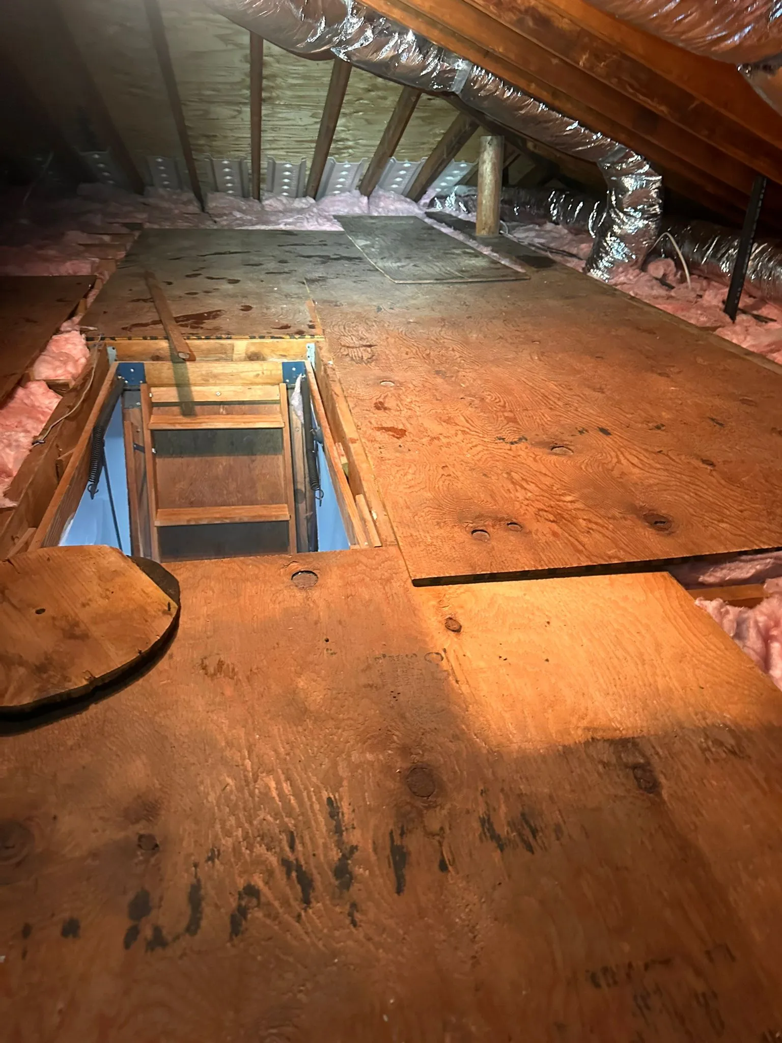 Removal of Attic Insulation with Sanitizing, Proofing and New R38 batts ...